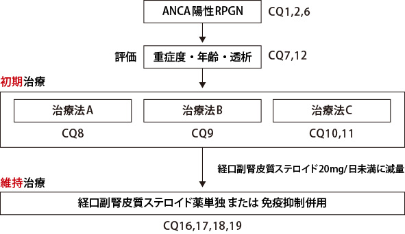 急速進行性腎炎症候群（RPGN）の治療 -ANCA関連血管炎.com-